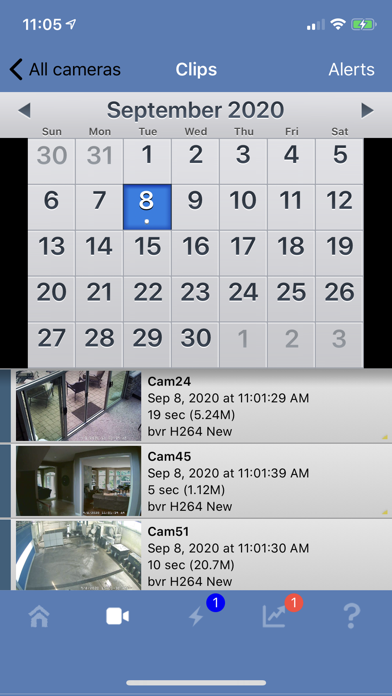 Blue Iris Review & Rating (2025) - Is It Worth It? | tpapps.com